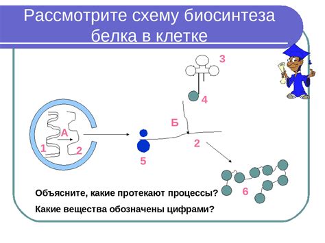 Объясните какие протекают процессы Какие вещества обозначены цифрами Школьные Знания Com