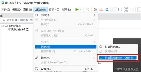 Vmware虚拟机硬盘扩展是灰色的无法扩展具有快照的虚拟机中的磁盘 Csdn博客