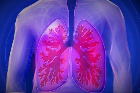 Síntomas De La Tubercolosis Pulmonar Salud Noticias De Salud Recetas Moda Ejercicio