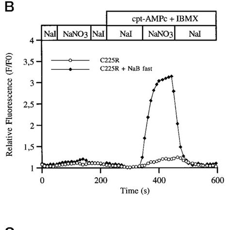 Functional Analysis Of Wild Type And Mutant Cftr With The Meq