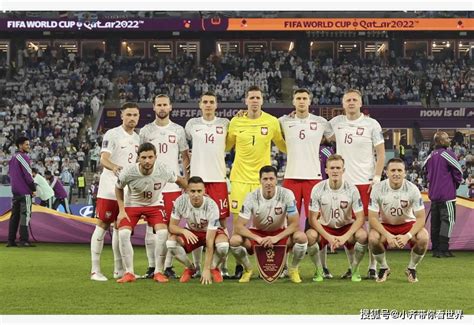 图集 卡塔尔世界杯 波兰vs阿根廷精彩瞬间 搜狐大视野 搜狐新闻