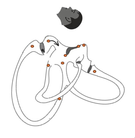 General 1 — Fyzical Education