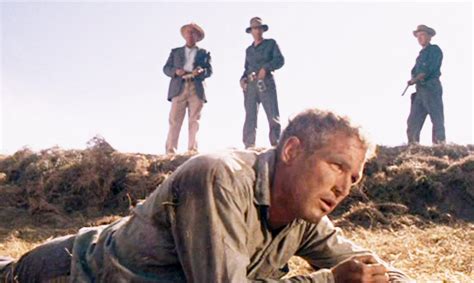 Cool Hand Luke 1967 Qwipster Movie Reviews Cool Hand Luke 1967