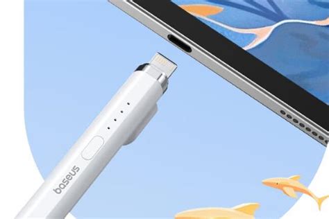 Pom Usb C