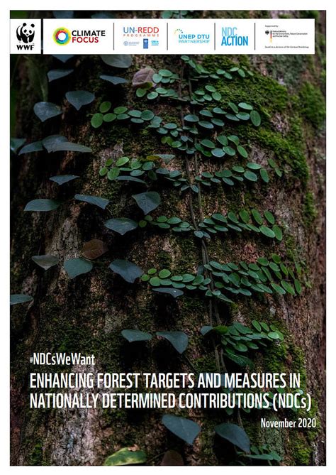 Ndcswewant Enhancing Forest Targets And Measures In Nationally