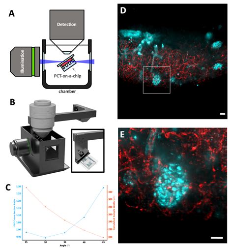 A Side View Schematic Of The Open Top Horizontal Light Sheet Download Scientific Diagram