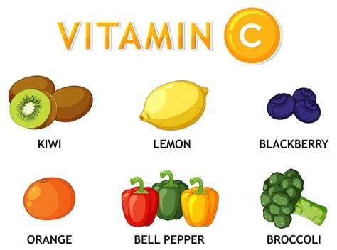 Alimentos Saludables Ricos En Vitamina C Vector Gratis