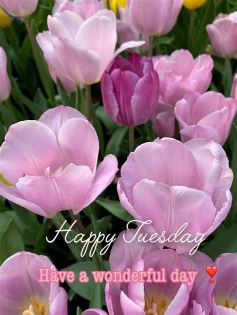 ปักพินโดย Gail Smart Ryan ใน Tuesday Wednesday Thursday Friday