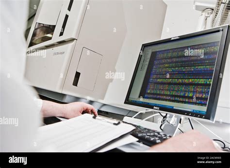 Dna Sequencing Laboratory Technician Sequencing Dna Deoxyribonucleic Acid Samples In A