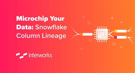 Chris Hastie On Linkedin Microchip Your Data Snowflake Column Lineage