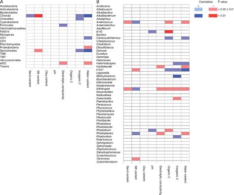 Bacterial And Archaeal Spatial Distribution And Its Environmental