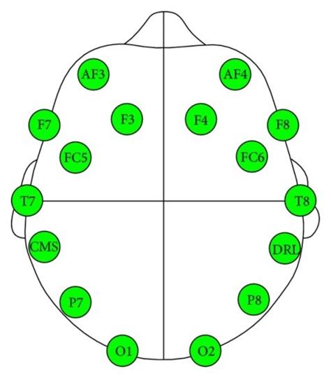 Overview Of The Sensor Position EEG Headset Download Scientific Diagram