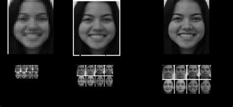 Illustration Of Dictionary Learning Based Face Hallucination Download Scientific Diagram