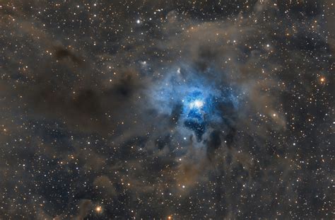 Iris Nebula