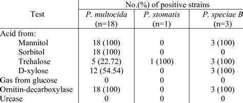 Biochemical Differentiation Of The Isolated Pasteurella Strains
