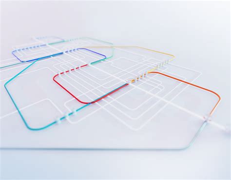 Translational Strategies Accelerate Drug Discovery