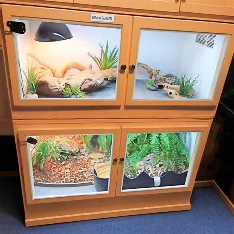 Diy Reptile Enclosure Build Your Own Terrarium Haven
