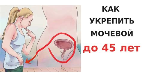 Как укрепить мочевой пузырь Лечение опущения стенок влагалища матки и недержания мочи Youtube