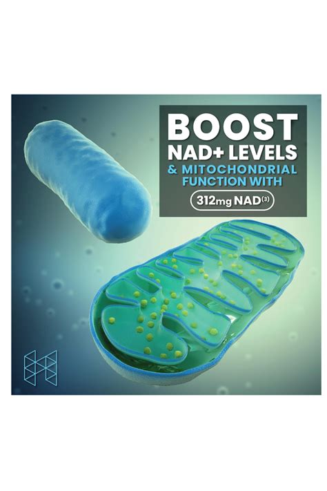 Hpn Nad Booster Nad3 Anti Aging Cell Booster Nrf2 Activator