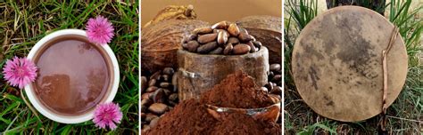 Cacao Ceremony Boulder Colorado Dreamtime Healings