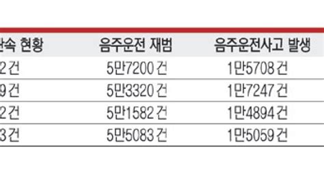 내달부터 음주운전 뺑소니 차량 몰수한다