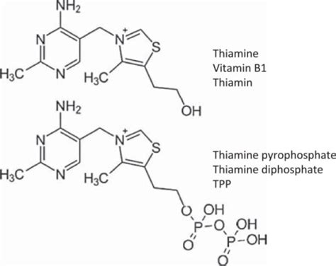 Chemical Structures Of Thiamine Vitamin B1 Thiamin A Open I