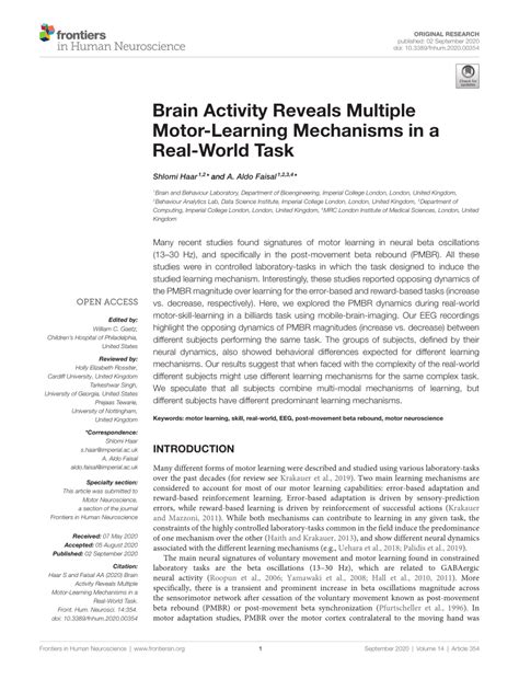 PDF Brain Activity Reveals Multiple Motor Learning Mechanisms In A Real World Task