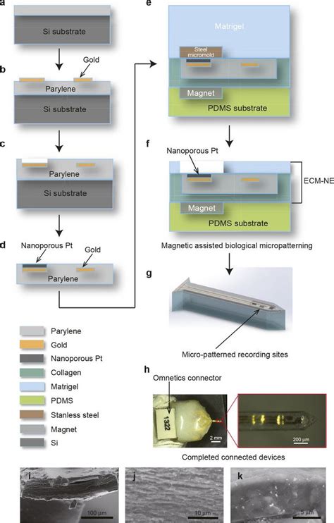 Biocompatible Neural Prosthetics Prosthetics Deep Brain Stimulation