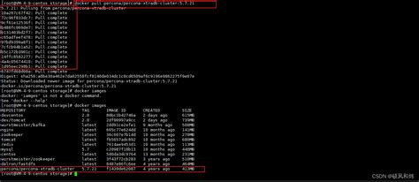 【详细学习docker部署搭建高可用的mysql集群环境】docker搭建mysql集群 Csdn博客