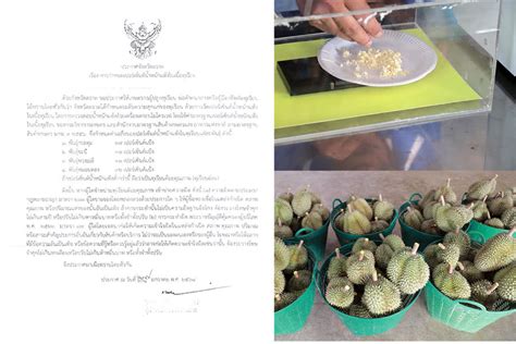 จังหวัดตราดออกประกาศ กำหนดเปอร์เซ็นต์น้ำหนักแห้งในเนื้อทุเรียนแต่ละ