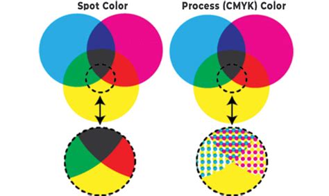 Spot Color Vs CMYK Color Essential Differences Explained