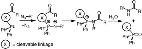 Bioorthogonal And Click Chemistry Curated By Prof Carolyn R Bertozzi 2022 Winner Of The Nobel