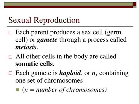 Ppt Meiosis Powerpoint Presentation Free Download Id
