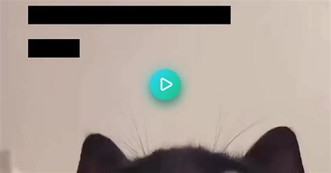 A Strongly Worded Letter By Nori Album On Imgur