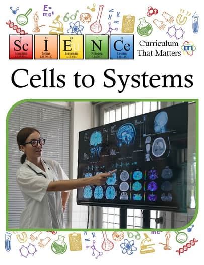Unit Test Cells To Systems By Curriculum That Matters Tpt