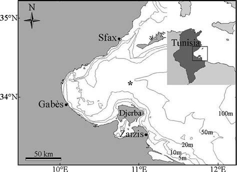 A School Of The Shrimp Scad Alepes Djedaba Osteichthyes Carangidae