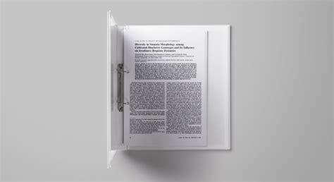 Diversity In Stomata Morphology Among Cultivated Blueberry Genotypes