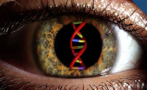 Biotech Gains First Ever Fda Approval For Gene Therapy To Treat Eye