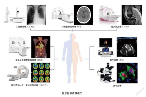 数字化人体的可视化表型影像学 参考网