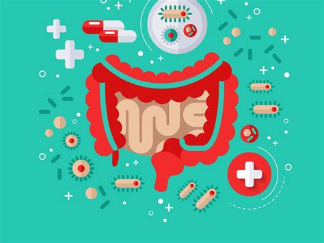 Microbiome Testing And Assessment Naturopath Solutions