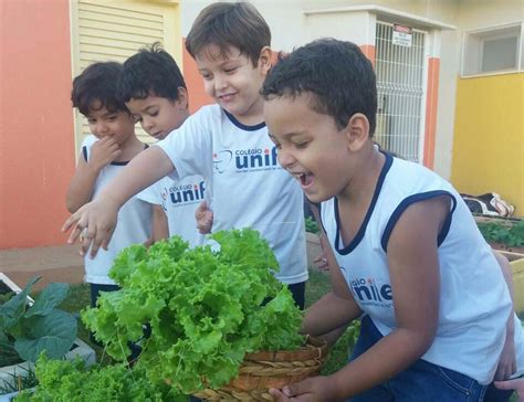 Projeto De Horta Na Escola Do Colégio Unifev Incentiva O Consumo De