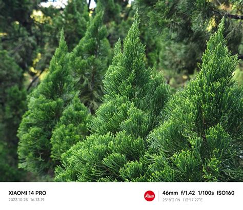 نقد و بررسی شیائومی پرو