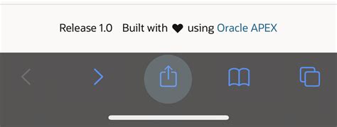 Quick Tips Add Favicon And Custom Application Icon In APEX APEX App Lab