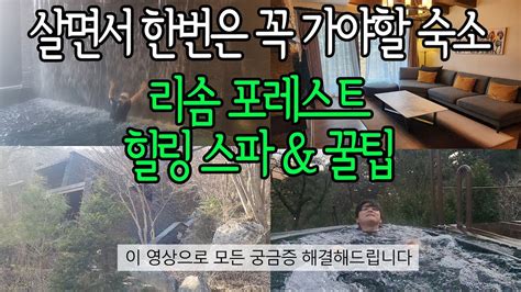 제천 리솜 포레스트 리조트 가기 전 꼭 보고 가세요 꿀팁 And 맛집 And 시설 후기 I 헤브나인 스파 레스트리 룸 업그레이드