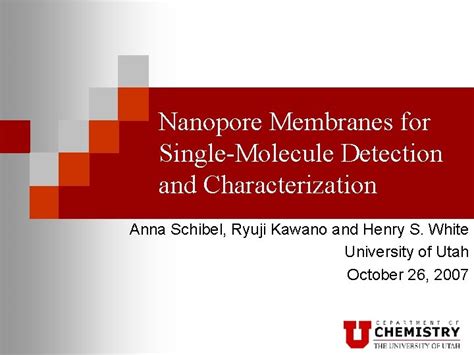 Nanopore Membranes For Singlemolecule Detection And Characterization Anna