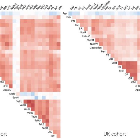 correlation matrix for the continuous features of the cn dataset left