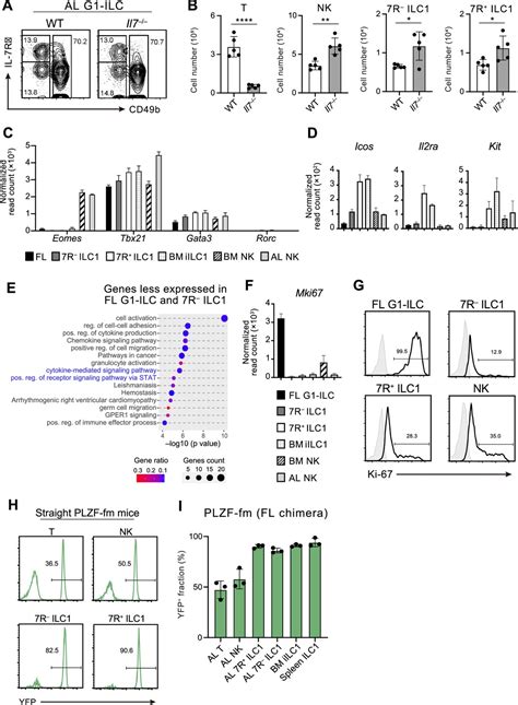 Figures And Data In Liver Type 1 Innate Lymphoid Cells Lacking Il 7
