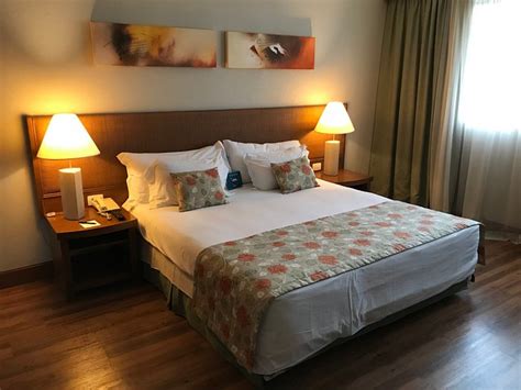 블루 트리 타워 카시아스 두 술 Blue Tree Towers Caxias Do Sul 호텔 리뷰 And 가격 비교