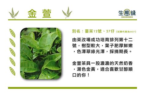 圖解說明《台灣茶樹品種》的特性與風味 生態綠 公平貿易咖啡