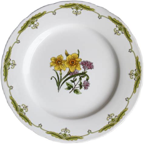 W1962出口欧洲陶瓷高端法式优雅水仙花西餐10寸 复古8寸盘甜品盘 虎窝淘